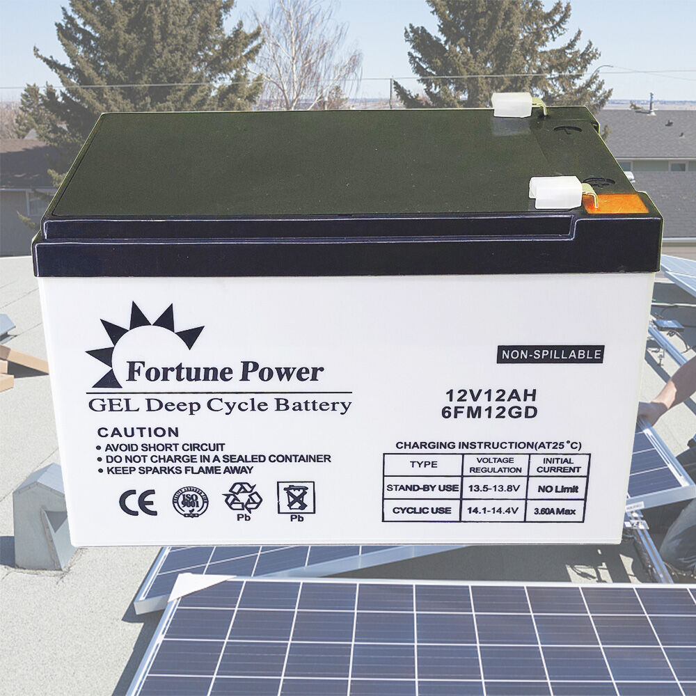 Fortune Power 6 Dm 10 Lead Acid Battery In Rechargeable Batteries 12v ...