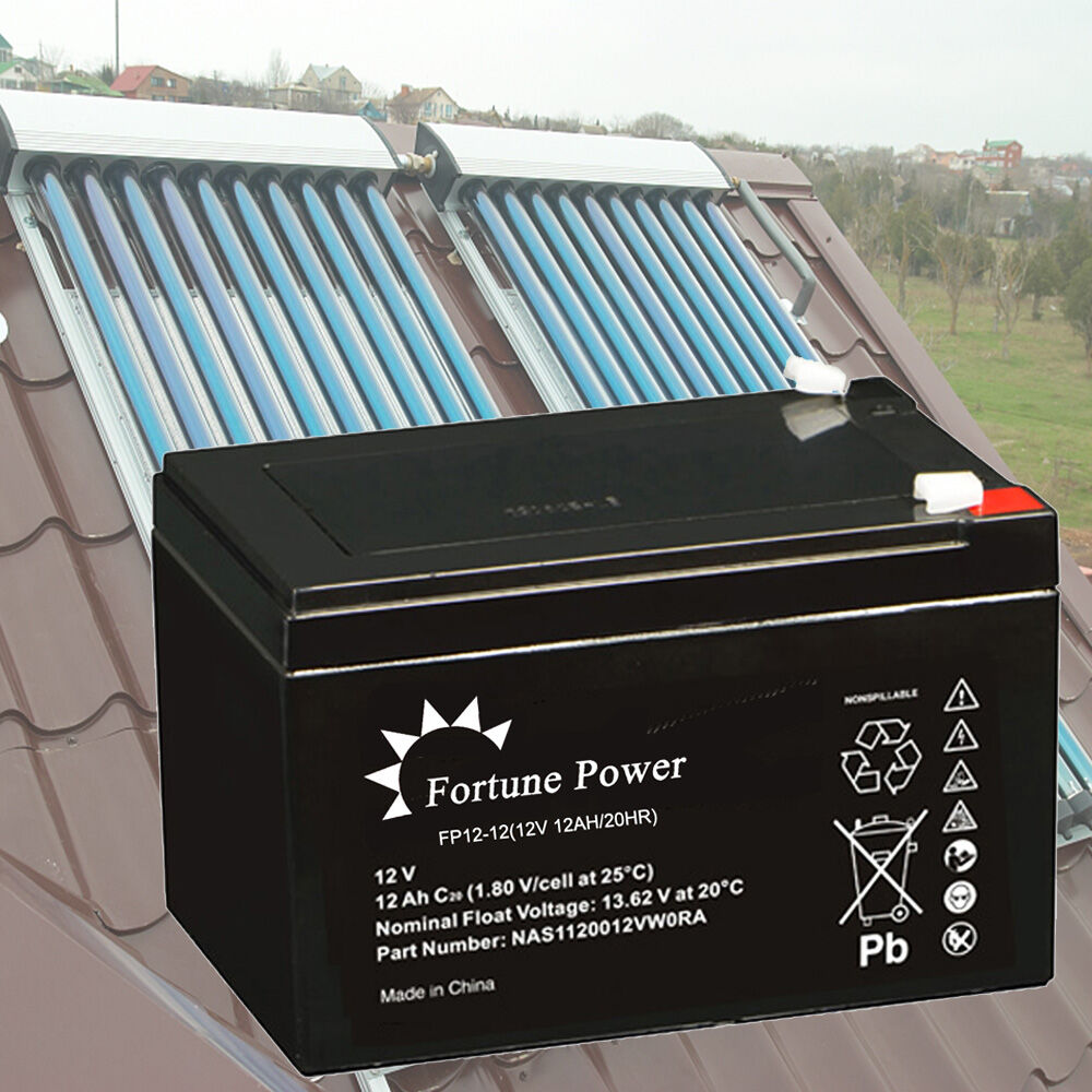 Fortune Power 6 Dm 10 Lead Acid Battery In Rechargeable Batteries 12v ...