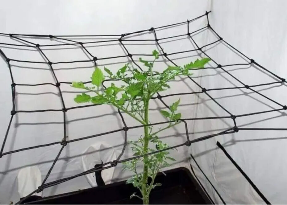 Buy Wholesale China Factory Price Garden Durable Hydroponic Grow Tent ...