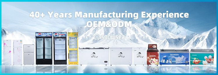 Buy Wholesale China High Quality Snowsea Bc-92 Top Defrost Single Door ...