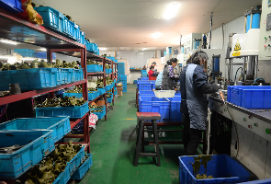 Buy Wholesale China Vented Screw Screws Vertical Filling Vesa Mount ...