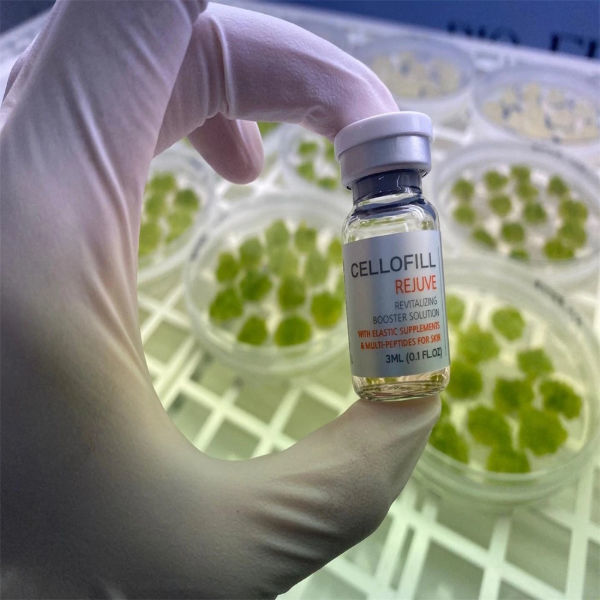 Buy Wholesale China Korean Skin Care Products Cellofill Gp60 Injectable ...