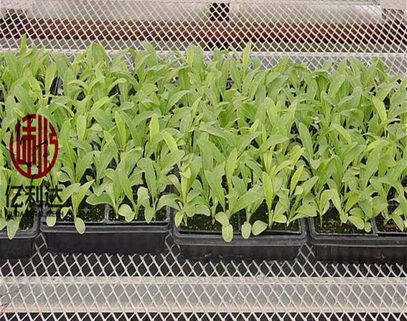 Buy Wholesale China Manufacturer Supplier Expanded Metal Mesh For ...