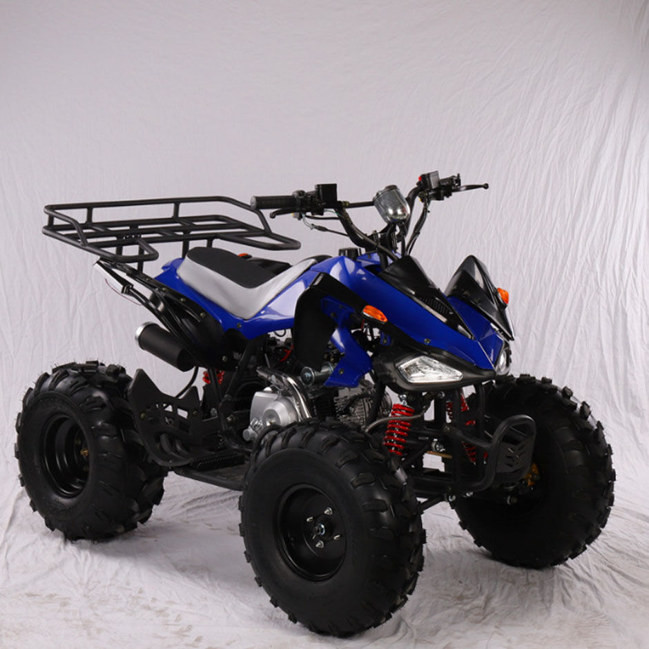 Buy Wholesale China 250cc Quad The 10 Motor On Road Parts 3 Roues Race ...