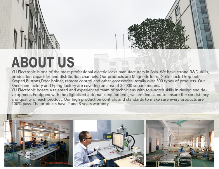 Buy Wholesale China Single Door Electric Magnetic Lock With Time Delay ...