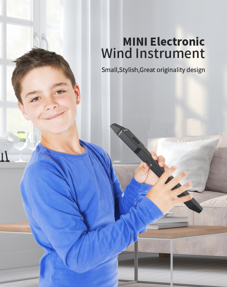 Good Quality Chinese Cheap Dc02 Mini Electronic Wind Instrument ...