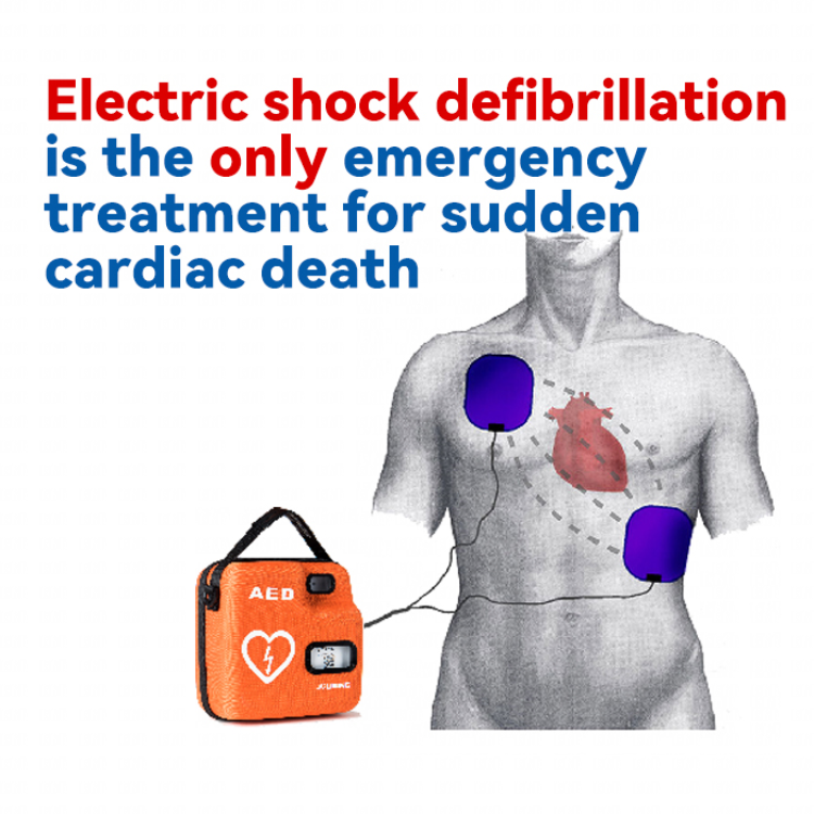 Buy Wholesale China H.l.m Biomedical Ce Color Screen Multi Language Aed ...