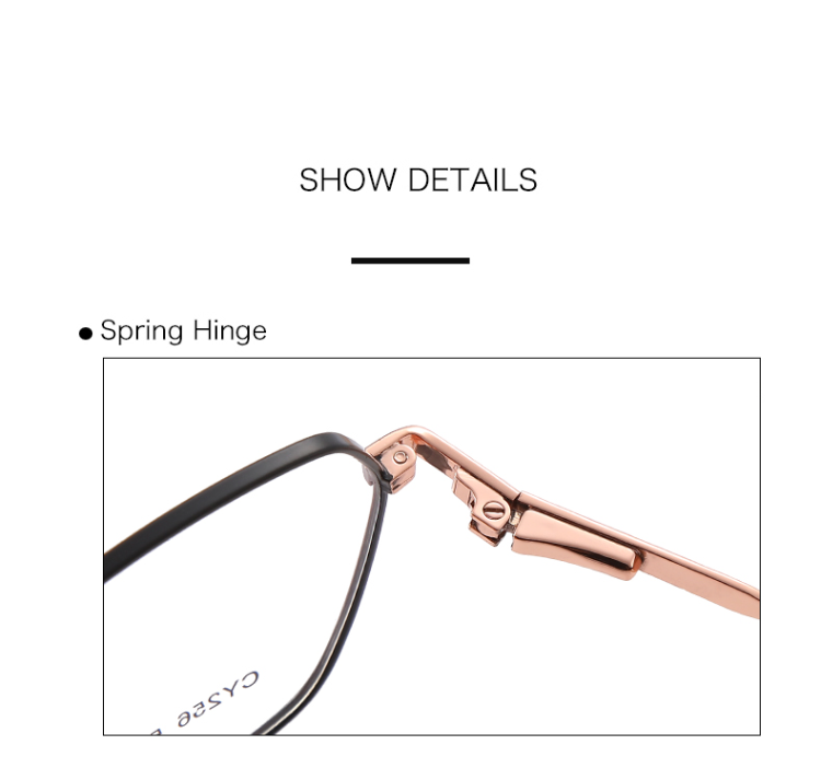 Bulk Buy China Wholesale Popular Design Eyeglass Frames Spring Hinge ...