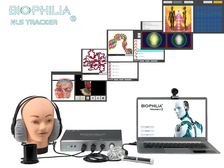 Buy Standard Quality China Wholesale Biophilia Quantum Bioresonance Nls ...