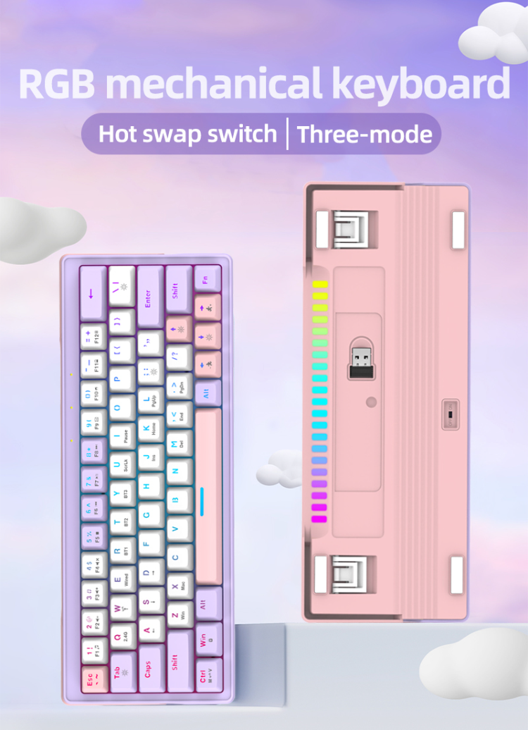 60% Keyboard 61 Keys Hot Swappable Anti-ghosting 2.4g Wireless Bt Mini ...