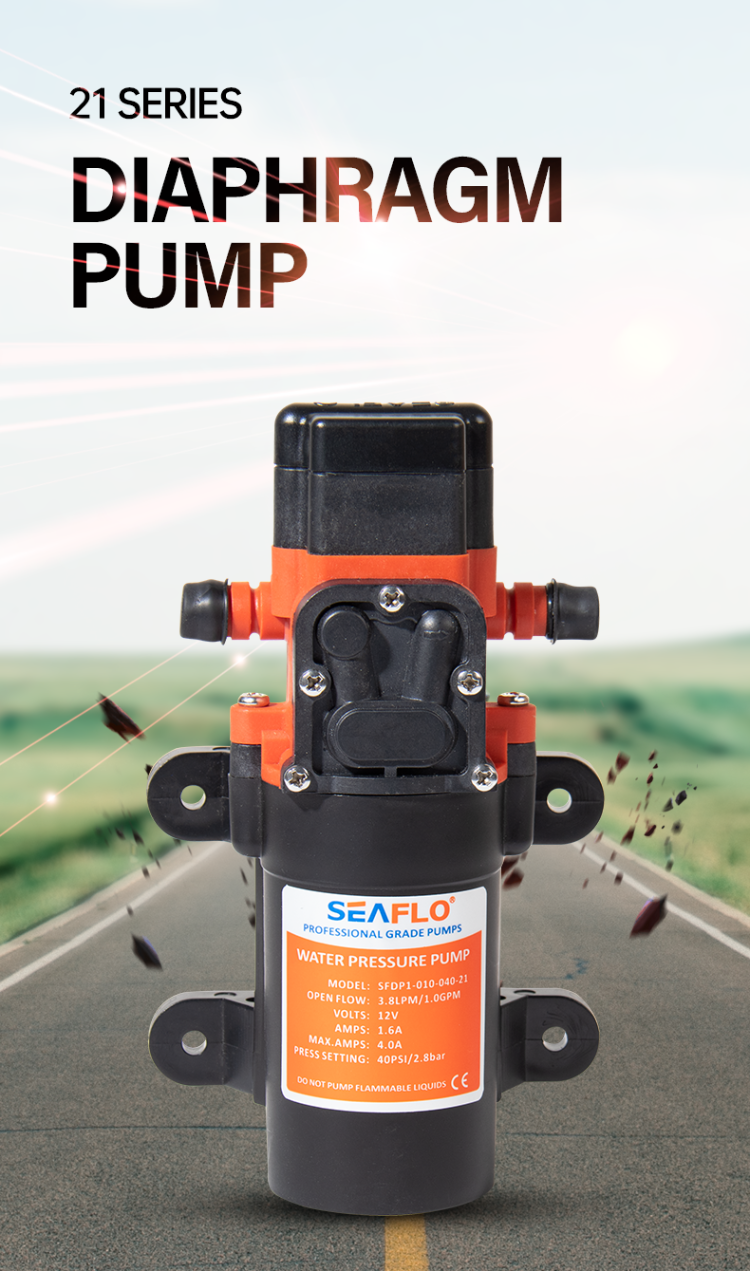 Buy Wholesale China Seaflo 21 Series Dc Diaphragm Pump 12v Mini ...