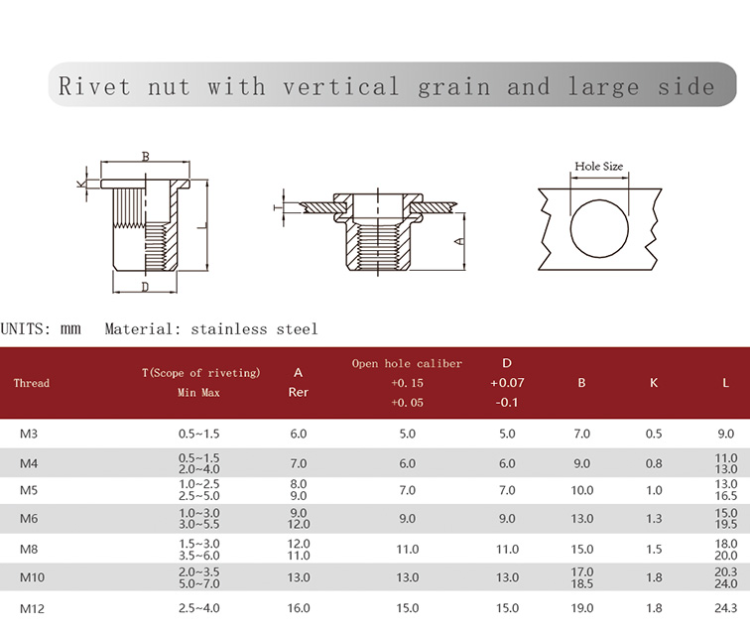 High Quality China Blind Rivet Nut M3 M6 M12 Flat Head Stainless Steel ...