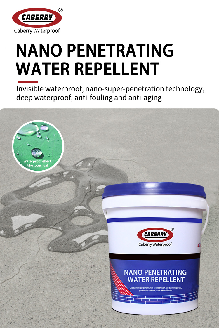 Wholesale Caberry Nano Waterproofing Transparent Waterproof Coating ...