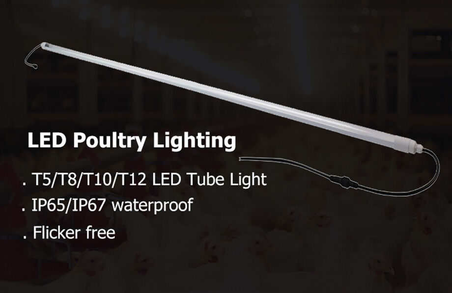 Buy Wholesale China Dimmable 2700-6500k Blue Poultry Led Light Lamps ...