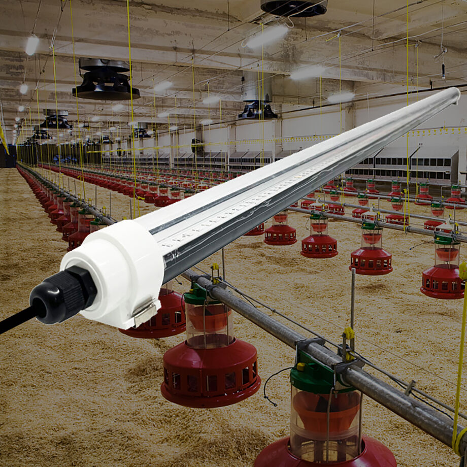 Buy Wholesale China Dimmable 2700-6500k Blue Poultry Led Light Lamps ...