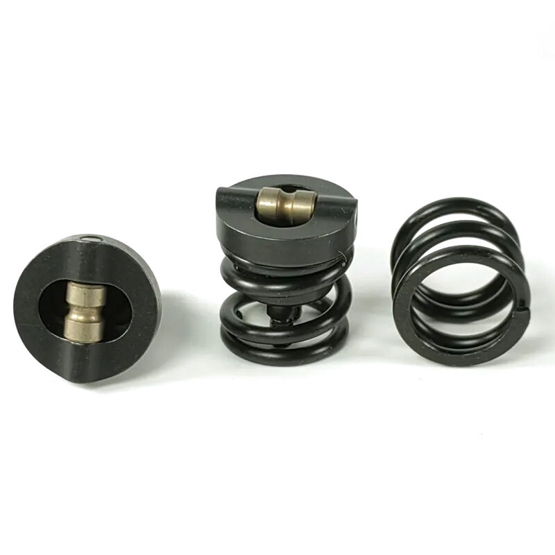 Black Spring Mold A Variety Of Mold Manufacturing Services Customized ...