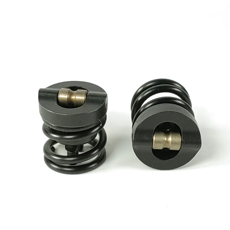 Black Spring Mold A Variety Of Mold Manufacturing Services Customized ...