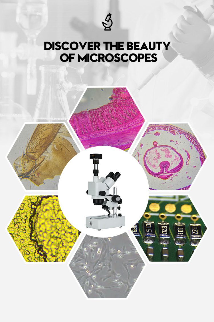 Buy Wholesale China Cheap Price Ce Standard Electronic Zoom Stereo ...