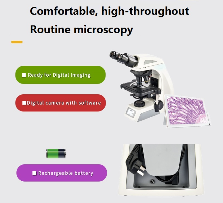 Buy Wholesale China Boshida Ne610 Serial Trinocular Biological ...