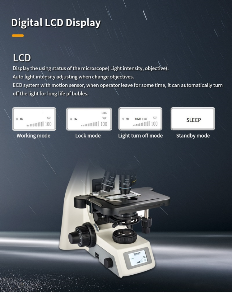 Buy Wholesale China Boshida Ne610 Serial Trinocular Biological ...