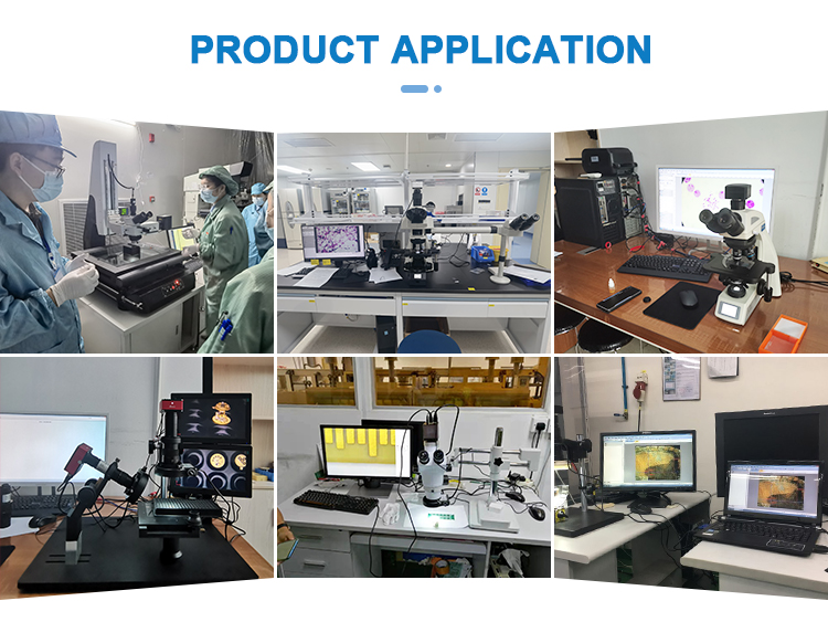 Buy Wholesale China Boshida Ne610 Serial Trinocular Biological ...