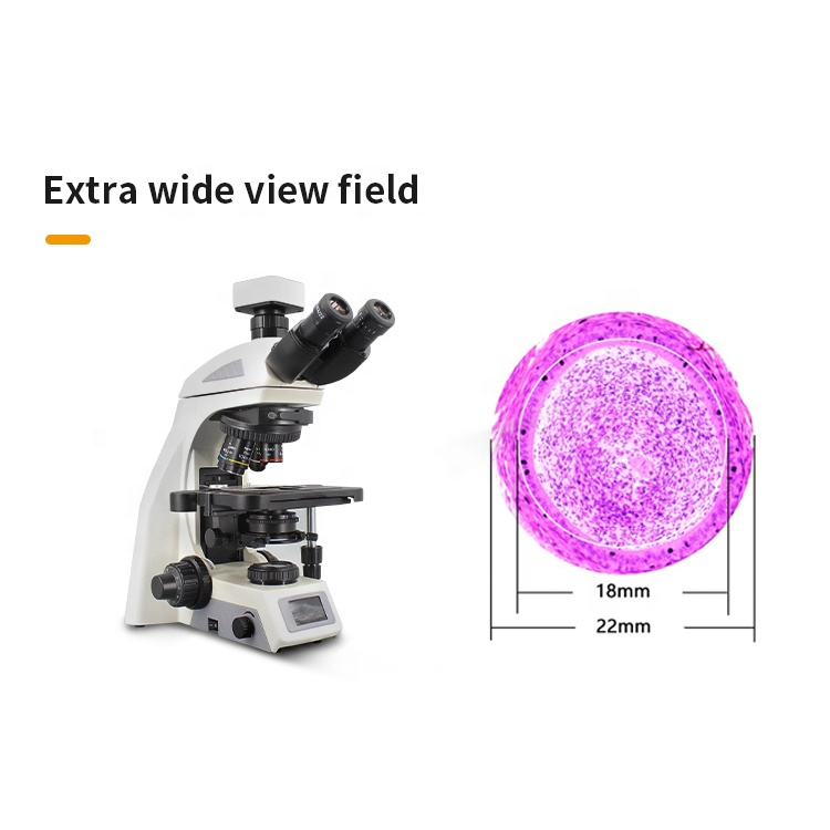 Buy Wholesale China Boshida Ne610 Serial Trinocular Biological ...