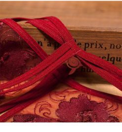 Crisscross Strap G String See Through Tangas Embroidered Floral Lace ...