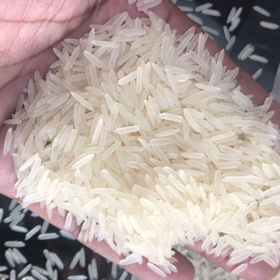 Buy Wholesale Thailand Short Graine Rice, Basmati Rice For Sale ...