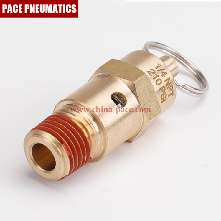 1/4 Npt 8 Bar Adjustable Pressure Relief Bronze Safety Valve - China ...