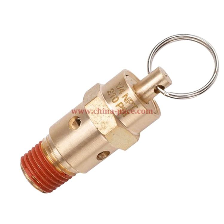 1/4 Npt 8 Bar Adjustable Pressure Relief Bronze Safety Valve - China ...