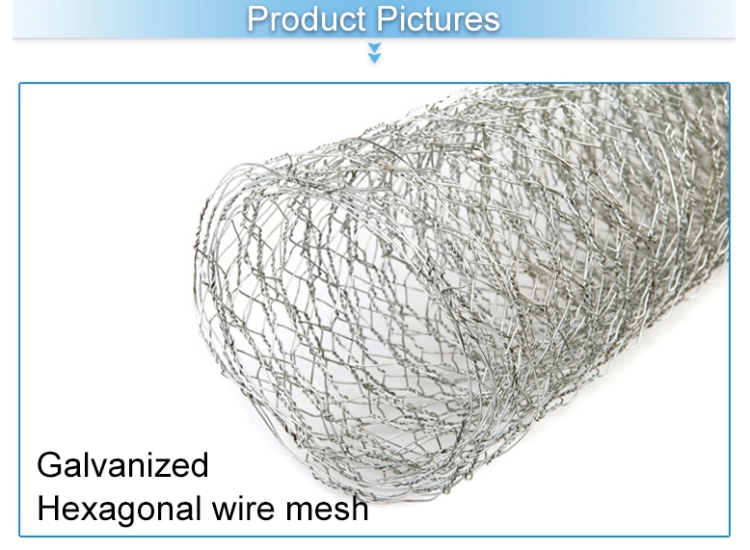 Bulk Buy China Wholesale Galvanized Hexagonal Chicken Wire Mesh Netting ...