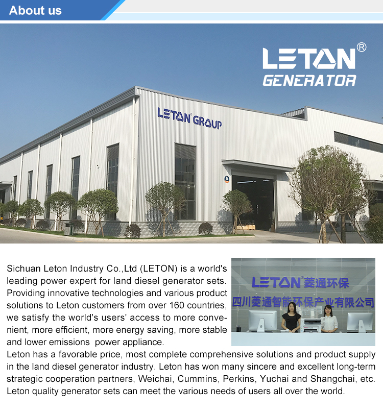Buy Wholesale China Leton Power Diesel Generator Set Automatic Start ...