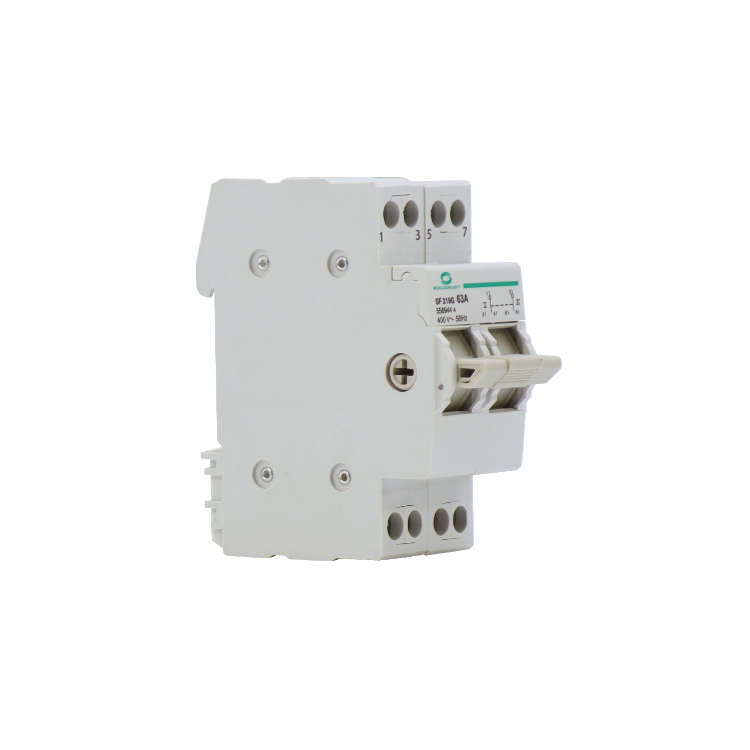 Buy Wholesale China Sf219g 63a 2p Din Rail Mounted Dual Power ...