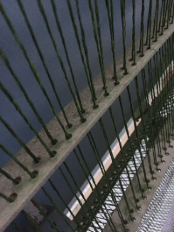 Buy China Wholesale Shanzhong Plastic Fake Artificial Grass Carpet ...