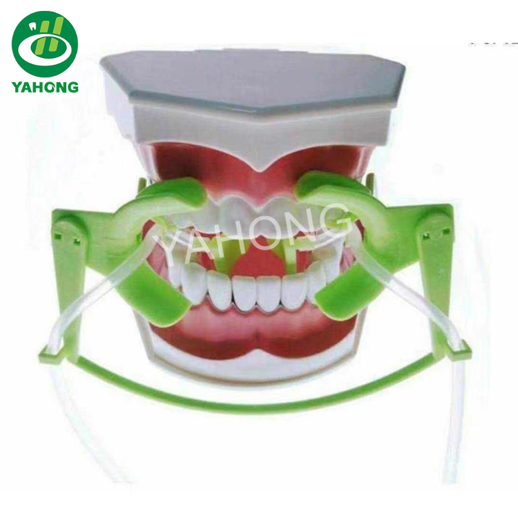 Buy Wholesale China Dental Use Yahong Ortho Tongue Guard Orthodontic ...