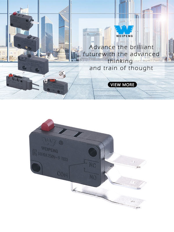 Buy Wholesale China Wholesale Miniature Micro Switches, Up To 5a/10a ...