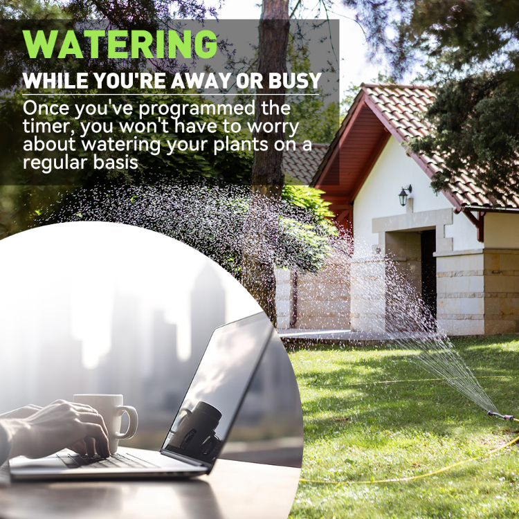 Buy Wholesale China Rainpoint 2 Zone Digital Water Timer For Garden New Design 2 Outlet