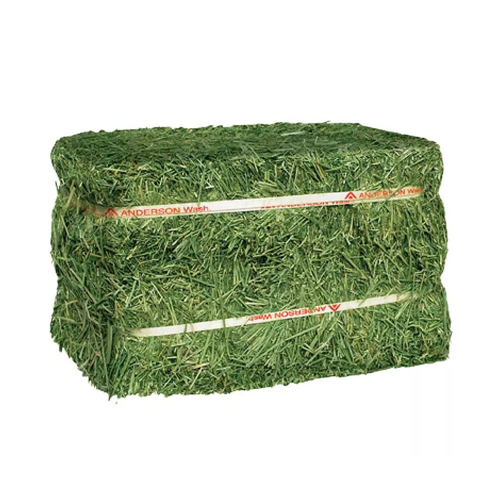 Buy Wholesale Hungary Cheap Top Quality Alfafa Hay For Animal Feeding ...