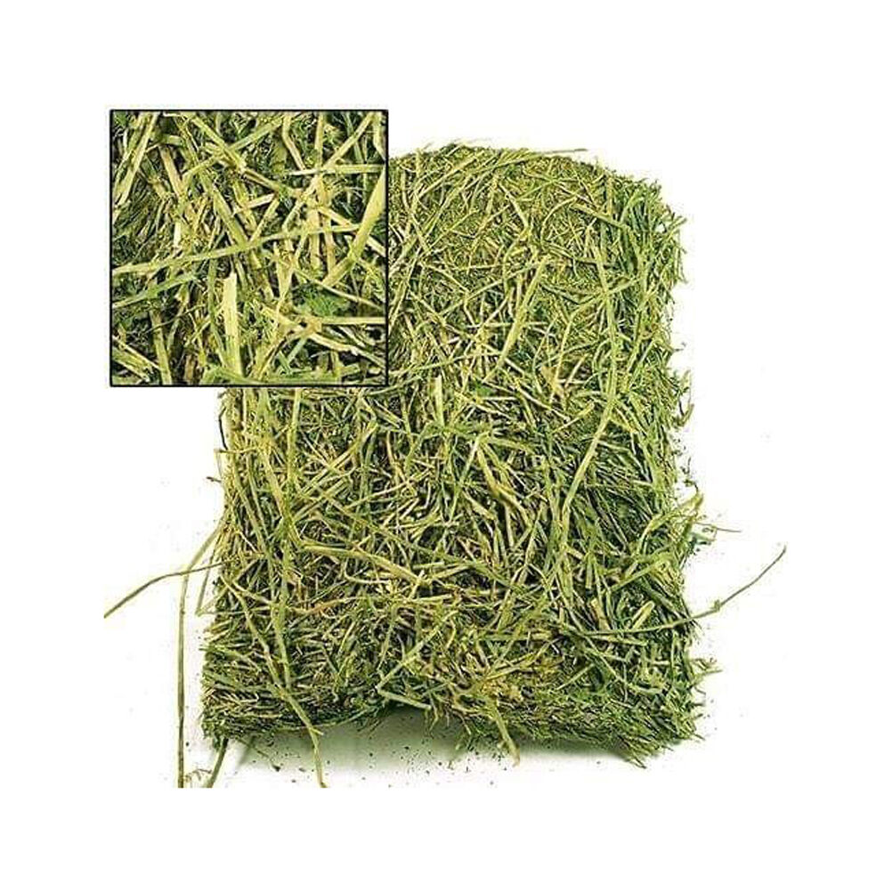 Buy Wholesale Hungary Alfalfa Hay For Animal Feeding /alfalfa Hay ...