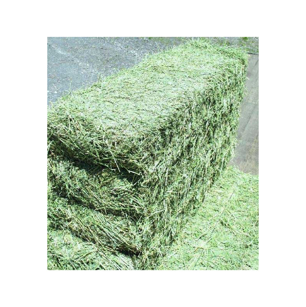 Buy Wholesale Hungary Alfalfa Hay For Animal Feeding /alfalfa Hay Pellets /timothy Hay In Bales ...