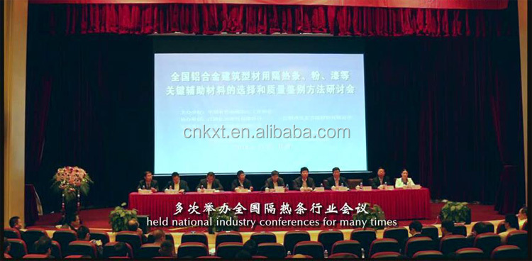 Kxt-ct24-4 Glass Fibre Reinforced Thermal Barrier Polyamide Strut For ...