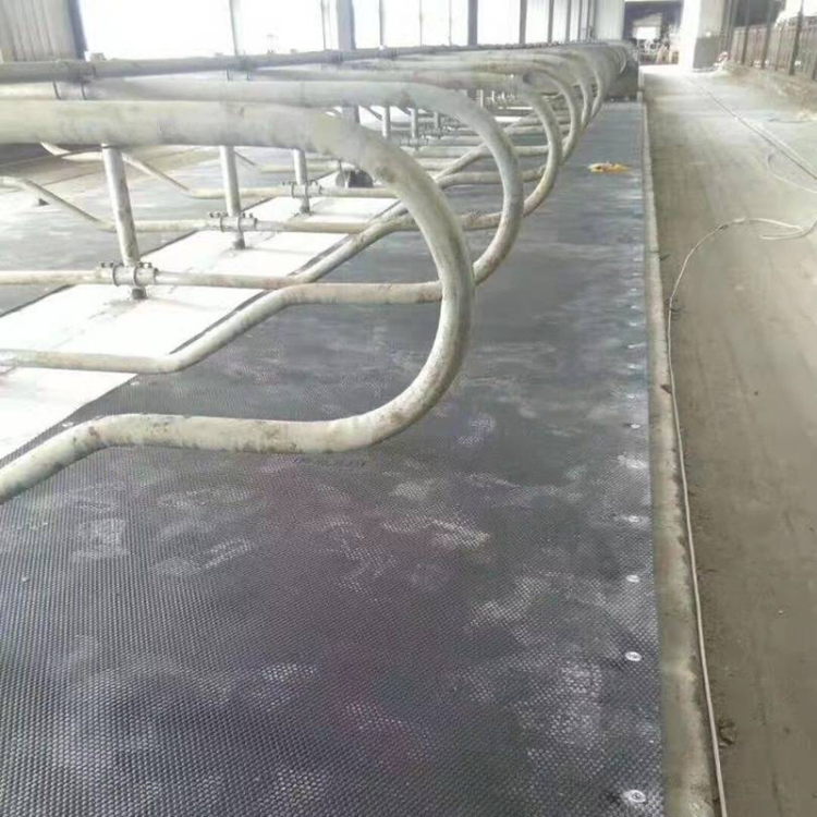 Comfort Cow Bed Long Line Cubicle Mattress Rubber Cover With ...