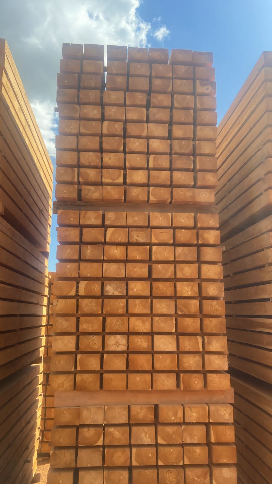 Wholesale Natural Solid Teak Wood. Teak Wood Sawn Timber Teak Logs ...