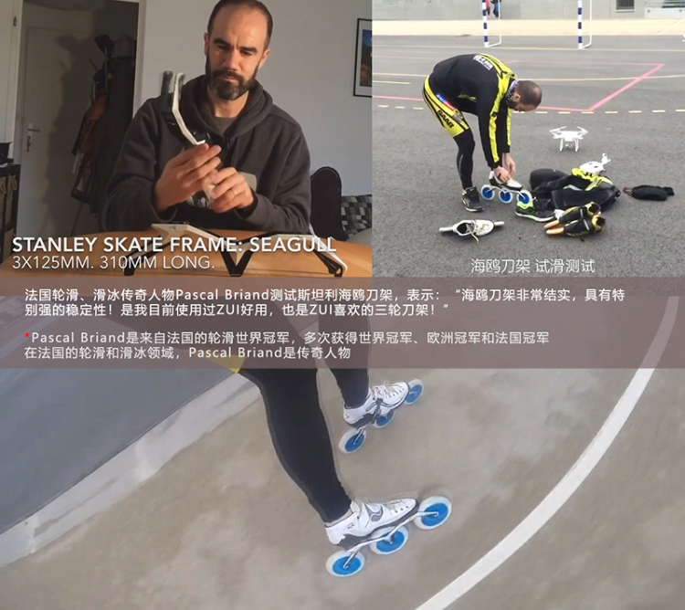 Buy Wholesale China Fashionable Advanced Seagull Speed Frame 3*125/110/ ...