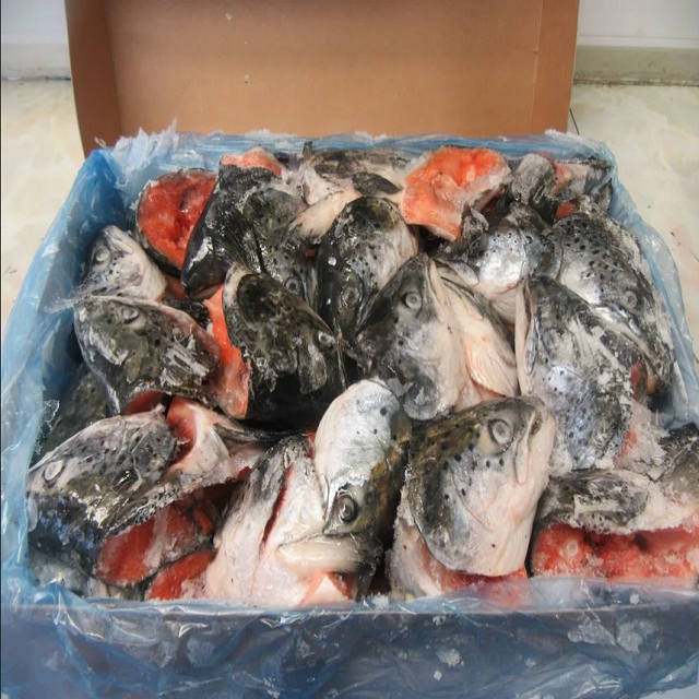 Buy Wholesale United Kingdom Order Frozen Atlantic Salmon Head For Sale ...