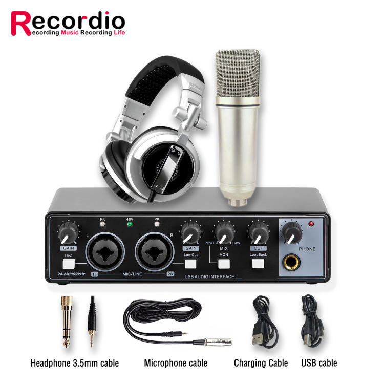 Buy Wholesale China Gax-md22p 2 In 2 Out Usb Audio Interface Recording ...
