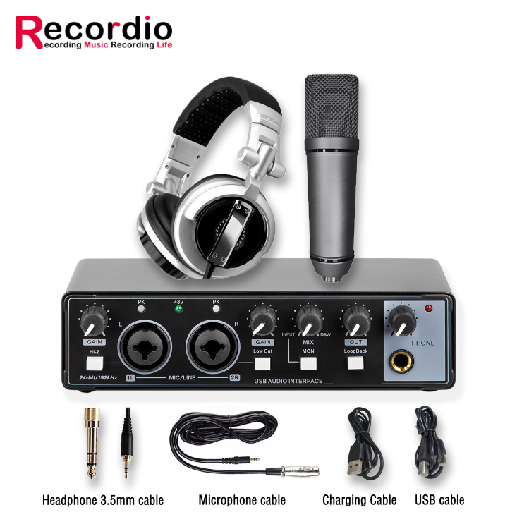 Buy Wholesale China Gax-md22p 2 In 2 Out Usb Audio Interface Recording Sound Card & Usb Audio ...