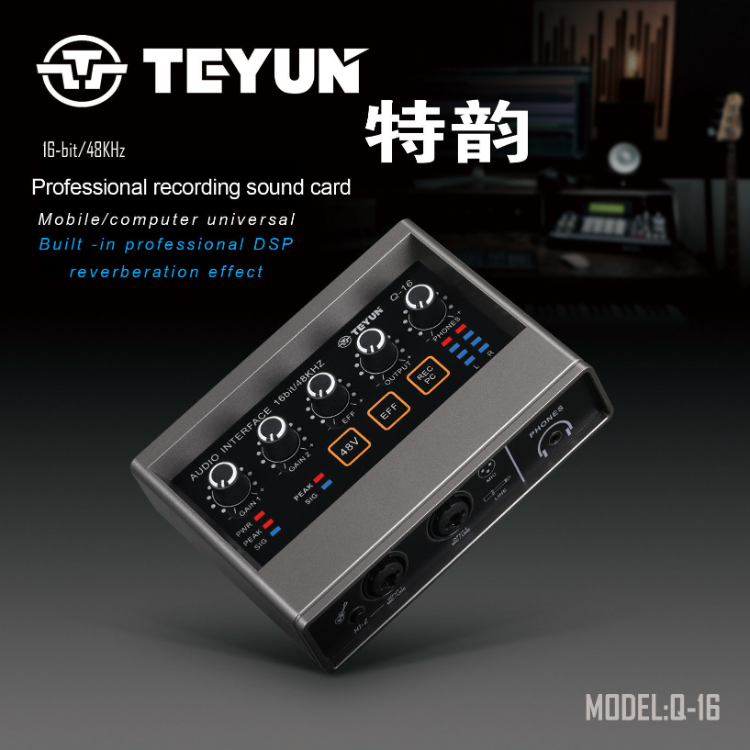 Buy China Wholesale Teyun Q16 Professional Microphone Recording Sound ...