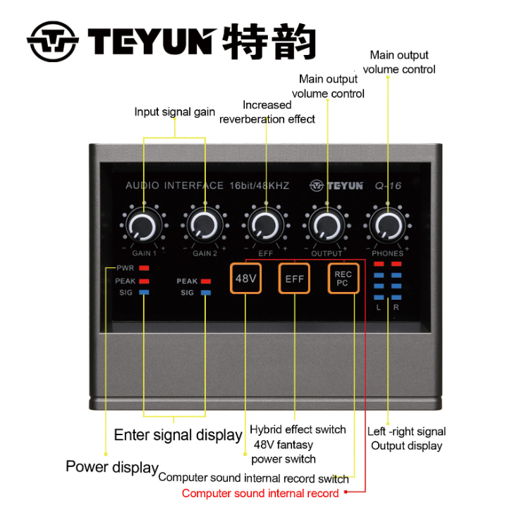 Buy China Wholesale Teyun Q16 Professional Microphone Recording Sound ...