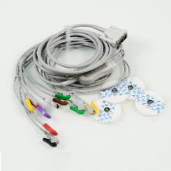 Dawei 12 Lead Ekg 12 Channel Ecg Machine - Explore China Wholesale Ekg ...